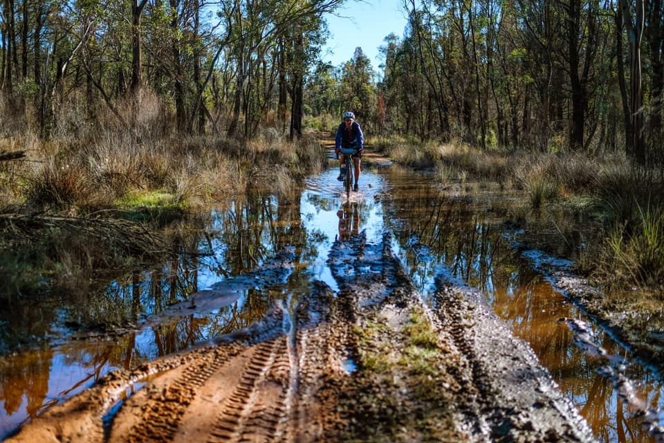 goonoo_ty_domin_200721 – Central West Cycle Trail